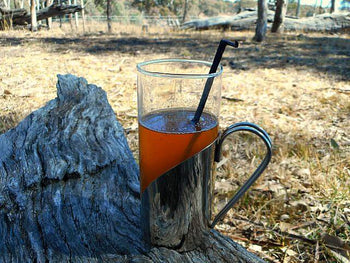 Warming Comfort Flavor: Spiced Apple Wine Recipe – Plum Deluxe Tea
