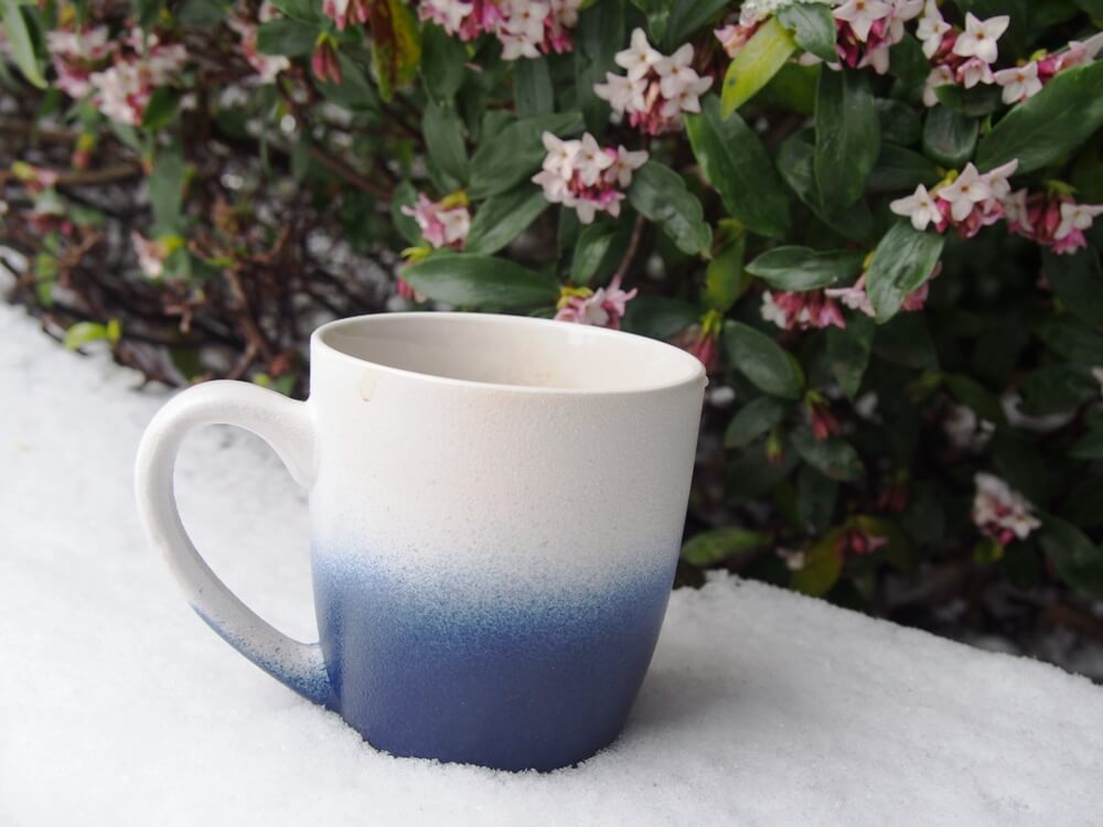 Snow-Themed Journaling Prompts – Plum Deluxe Tea