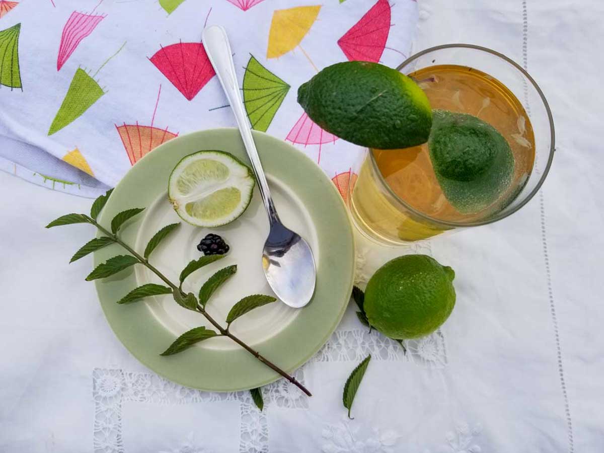 How to Choose the Best Mint Tea – Plum Deluxe Tea