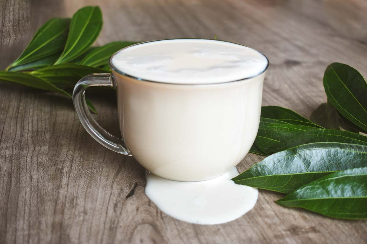 How to Make a Black Tea Latte – Plum Deluxe Tea