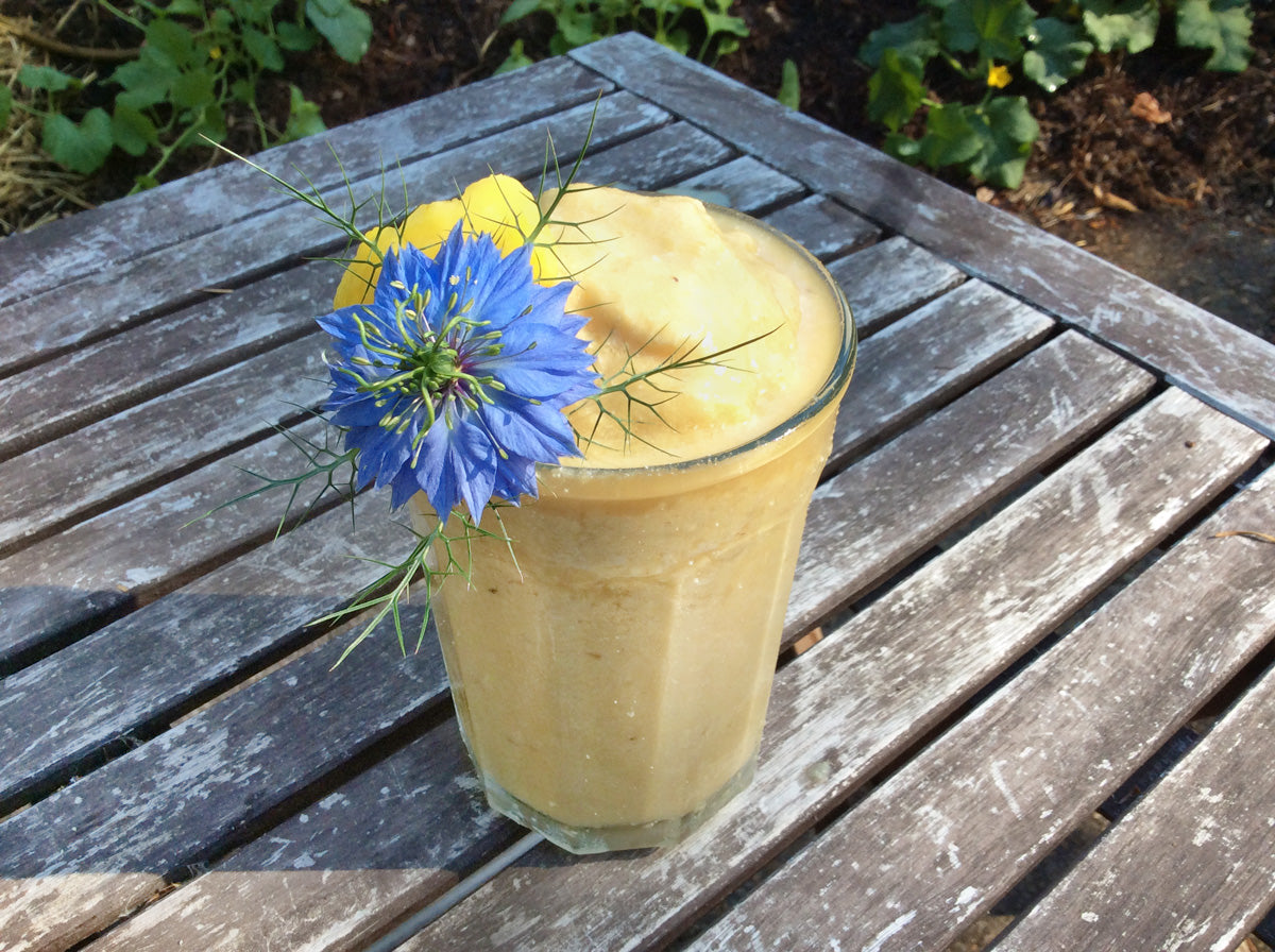 Chill Out: Four Ways to Enjoy Frozen Iced Tea – Plum Deluxe Tea