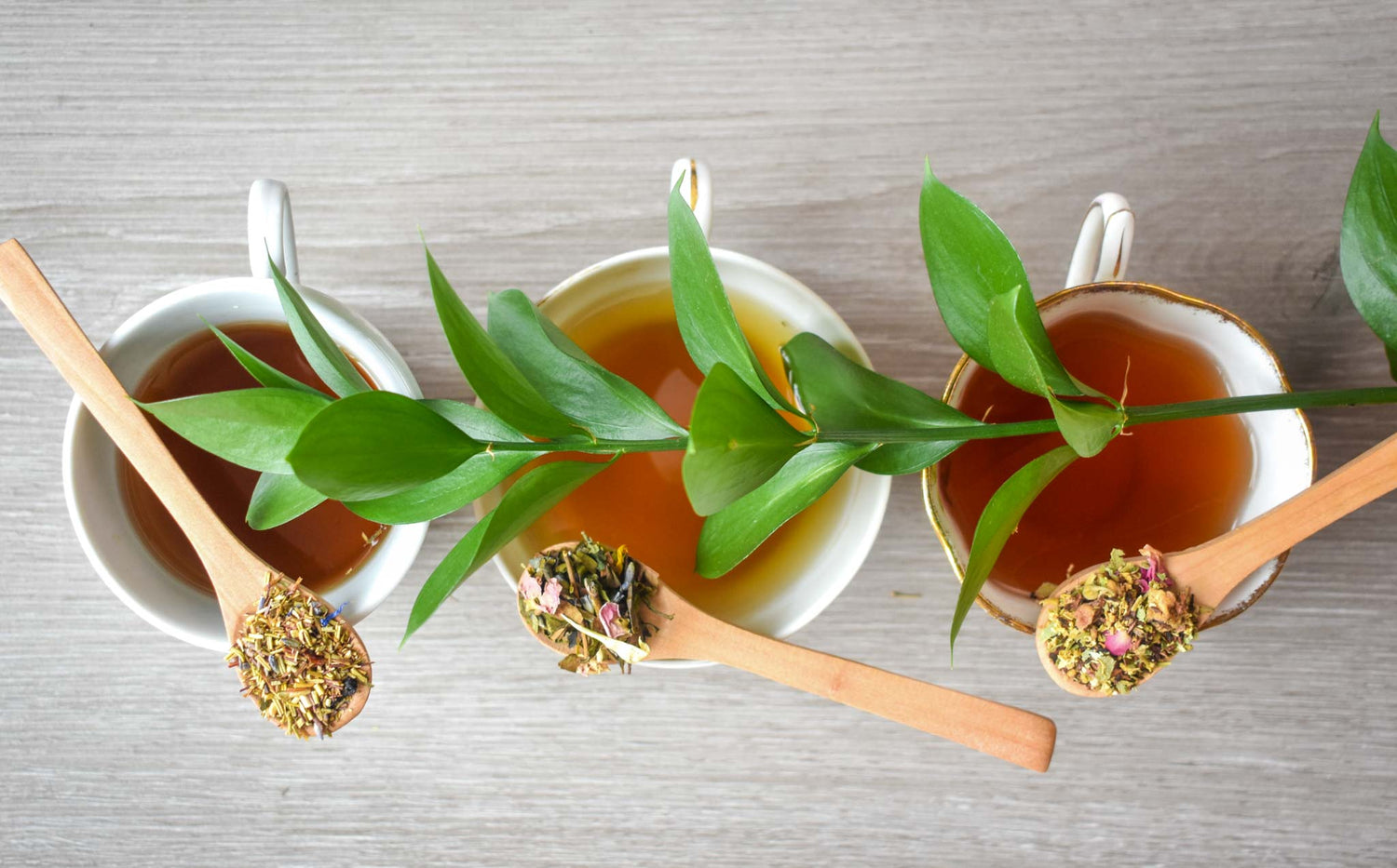 What Are the Best Floral Teas? – Plum Deluxe Tea