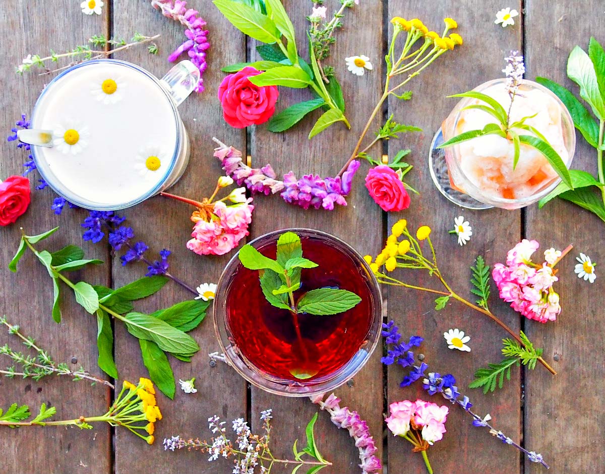 3 Refreshing Summer Tea Recipes – Plum Deluxe Tea