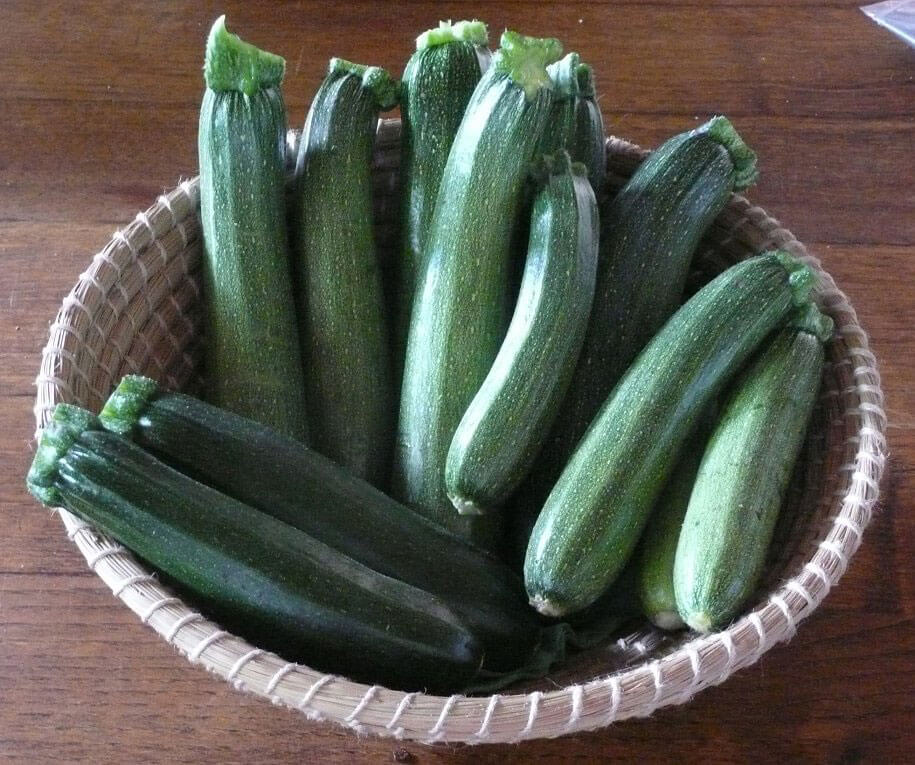 Making a Meal of Zucchini Madness – Plum Deluxe Tea