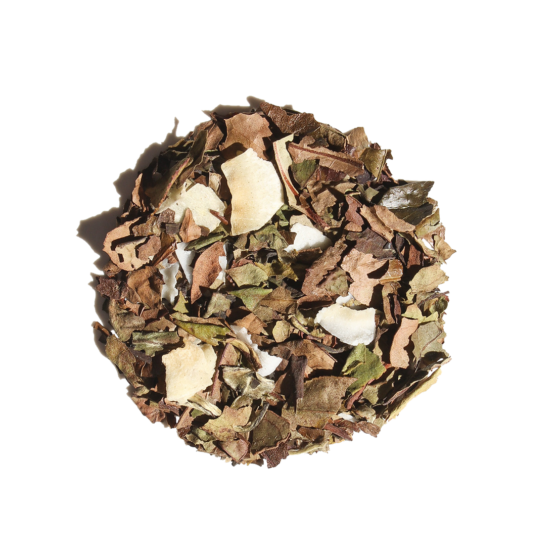 Toasted Coconut White Tea – Plum Deluxe Tea