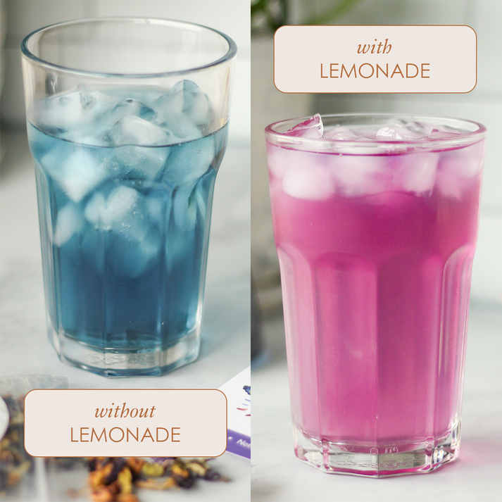 Magical Butterfly Herbal Tea (Butterfly Pea Flower / Berries) – Plum ...